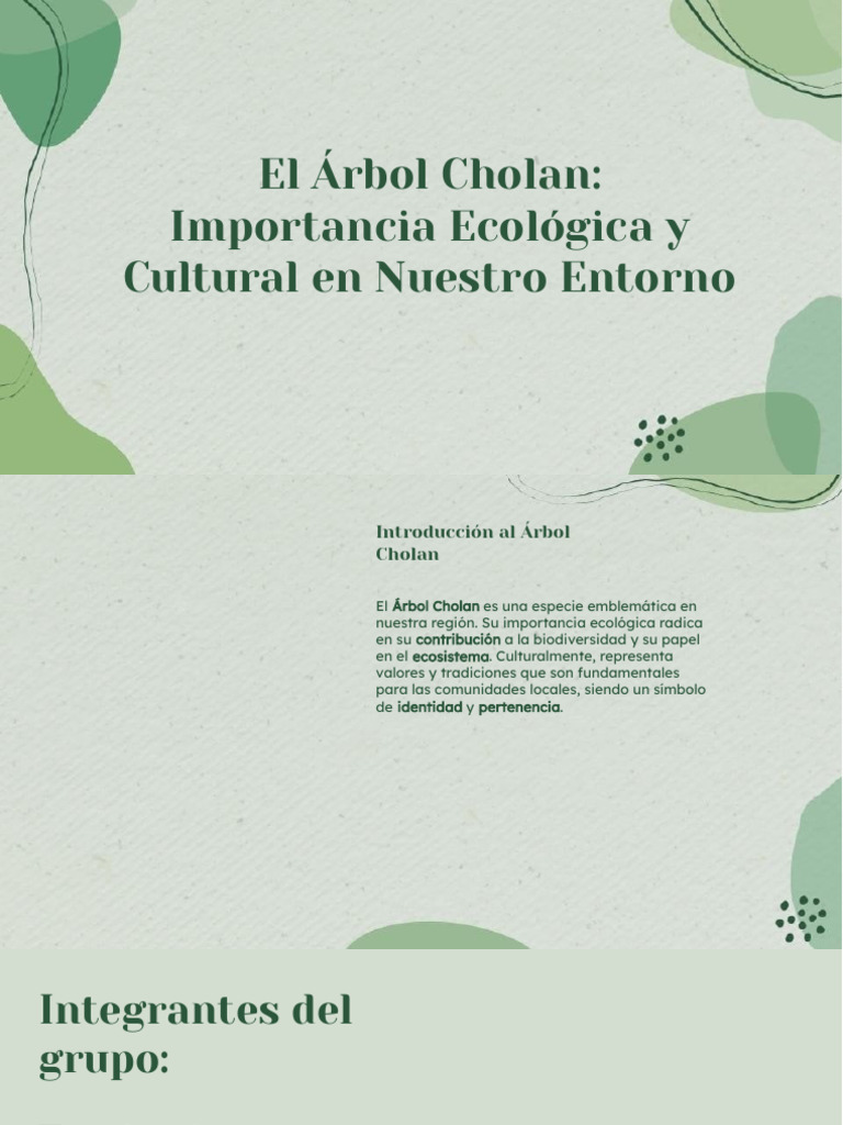 slidesgo-el-arbol-cholan-importancia-ecologica-y-cultural-en-nuestro ...