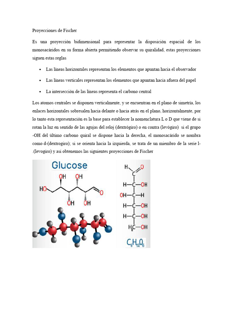 Proyecciones de Fischer | PDF