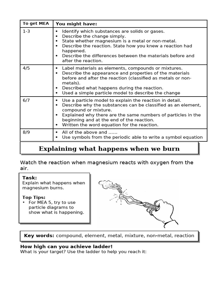 Lesson 5 Digestive System | PDF | Chemical Reactions | Chemical Substances