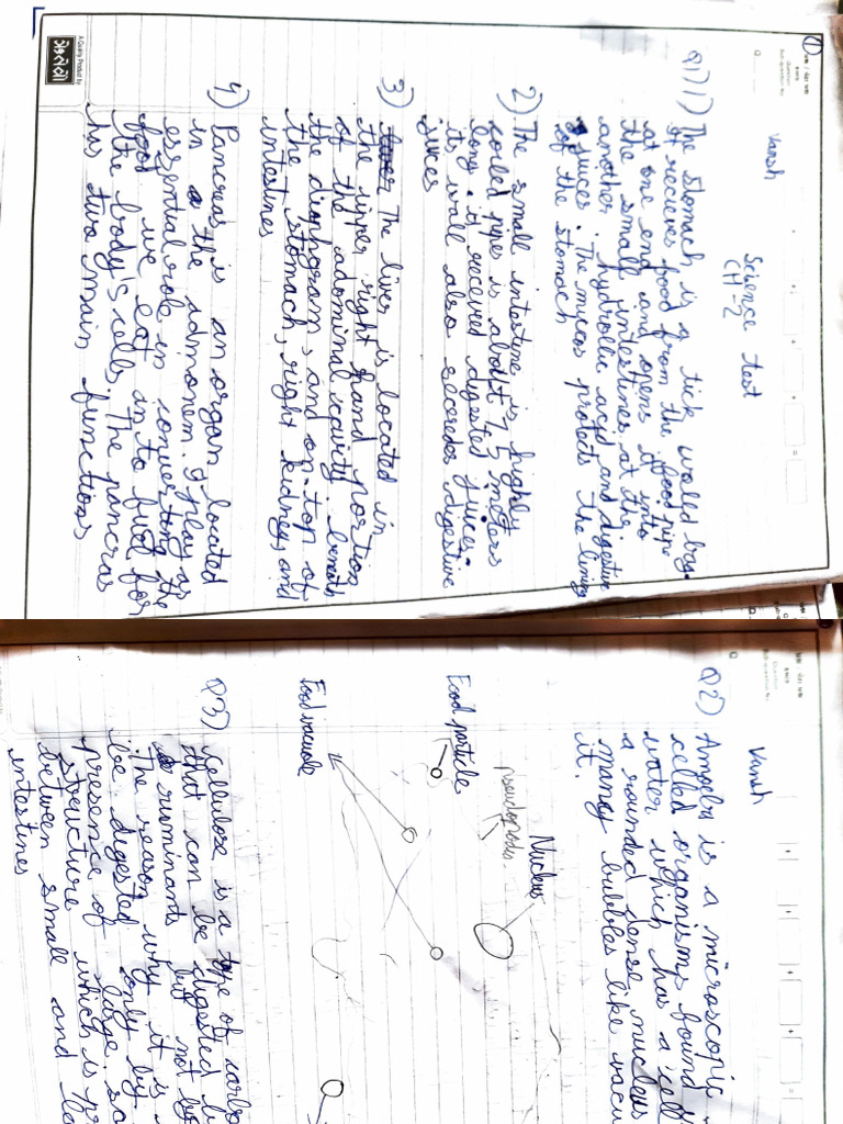 Technical Document for Experts | PDF
