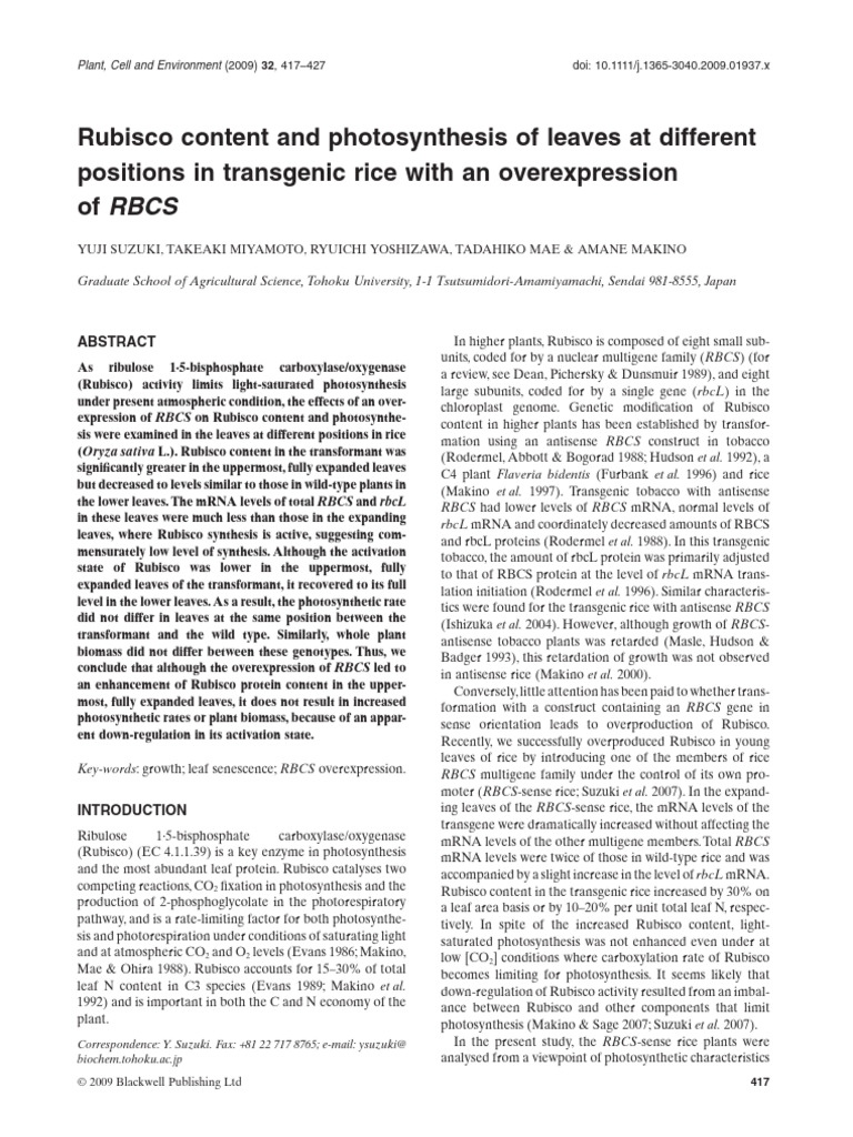 65kda Protein Rubisco Paper.p | PDF | Photosynthesis | Biochemistry