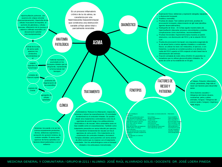 Mapa Conceptual Del Asma | PDF | Asma | Alergia