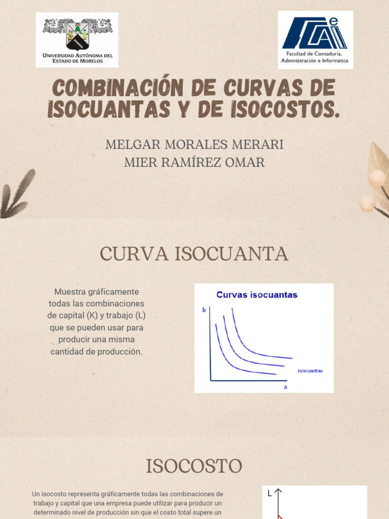 Combinación de Curvas Isocuantas e Isocostos | PDF | Ciencias ...