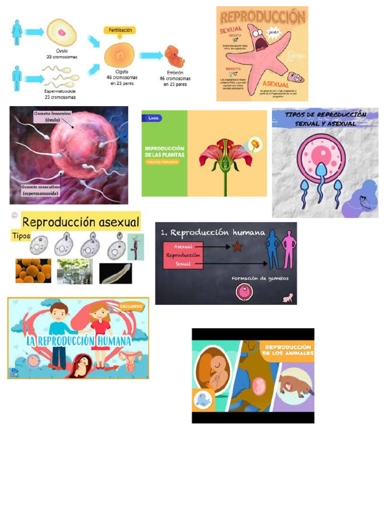 Collage Fisica 2 | PDF