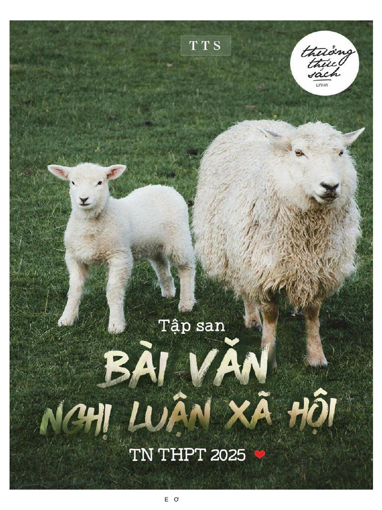 30 Bai Van Nghi Luan Xa Hoi PR | PDF