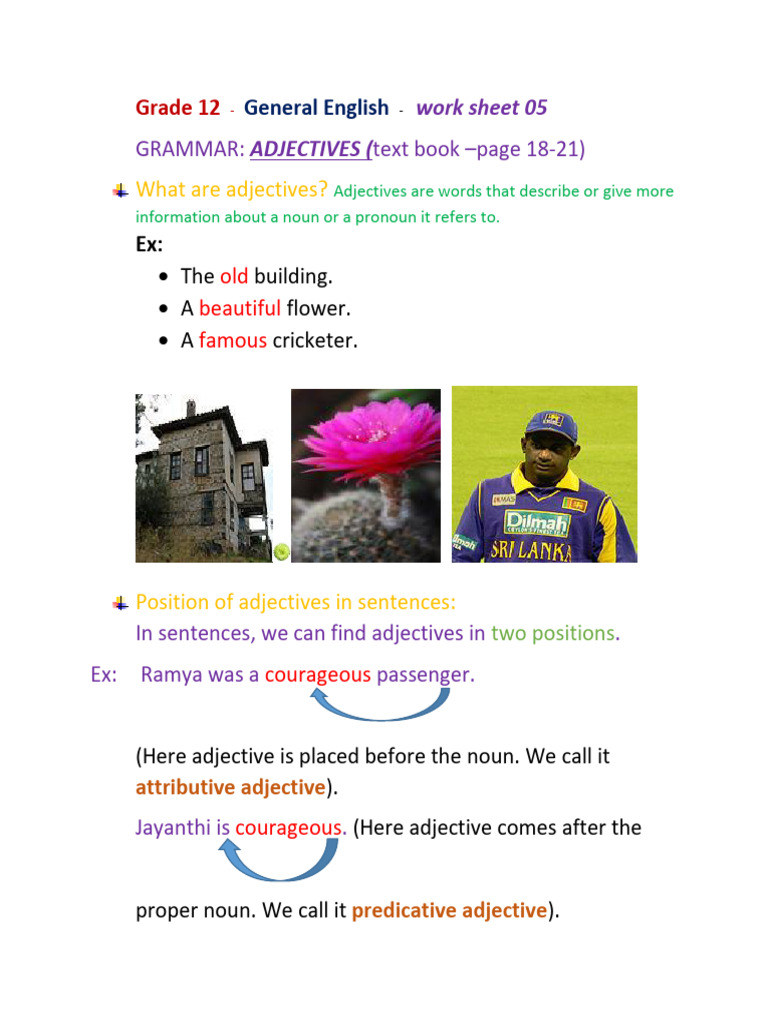 Adjectives in Grade 12 English Grammar | PDF | Adjective | Verb