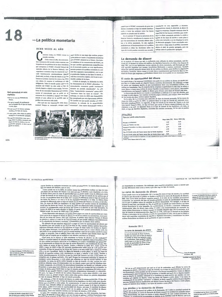 Capítulo 18-Krugman | PDF