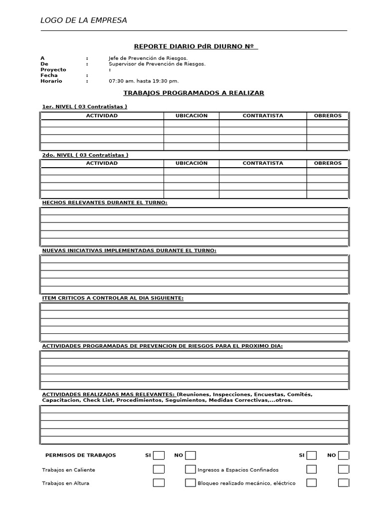 394594390 Modelo Reporte Diario | PDF