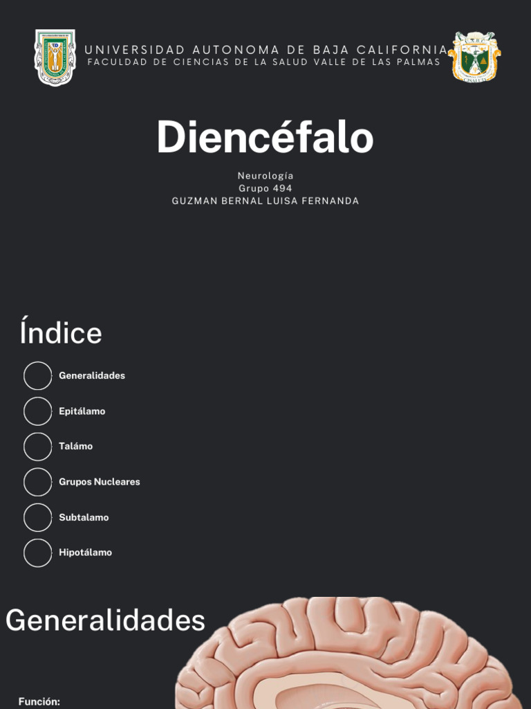 Diencefalo | PDF | Hipotálamo | Cerebro