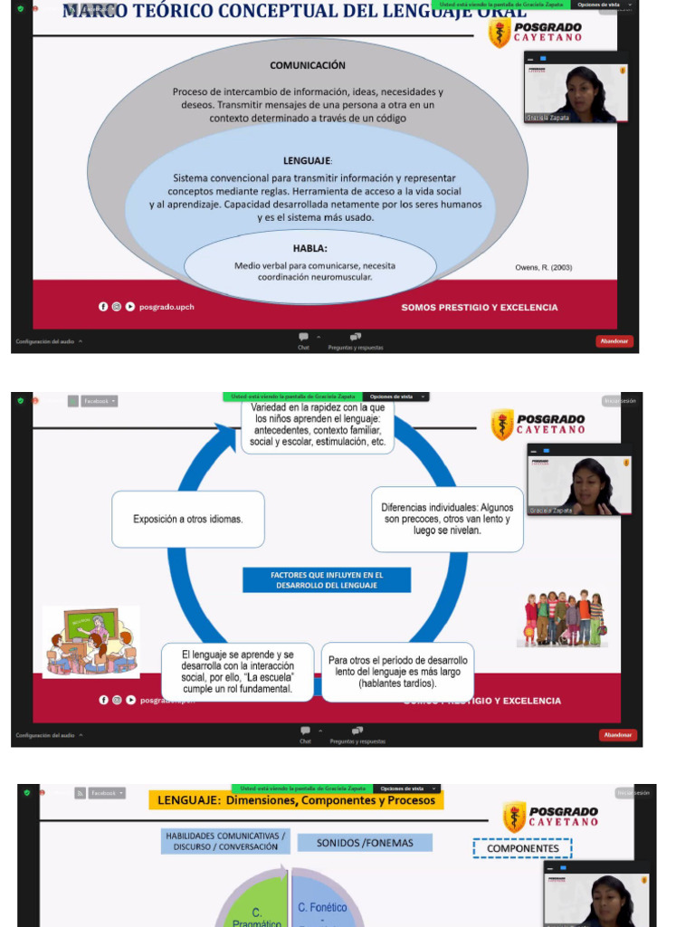 Trastorno Del Desarrollo Del Lenguaje TDL Conferencia | PDF