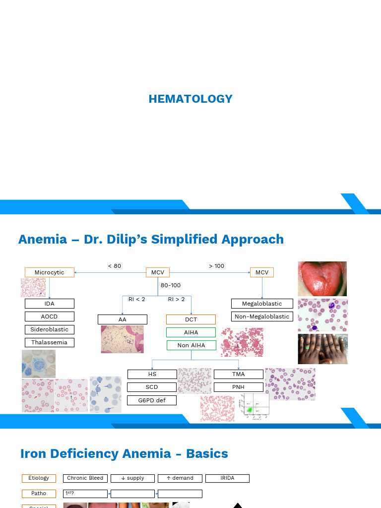 Hematology | PDF | Anemia | Blood