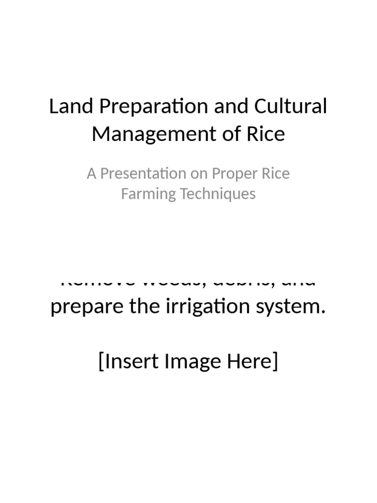Land Preparation Rice | PDF