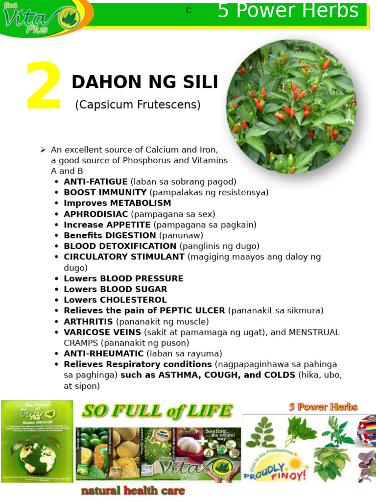 5 FVP Presentation (Five Power Herbs) | PDF