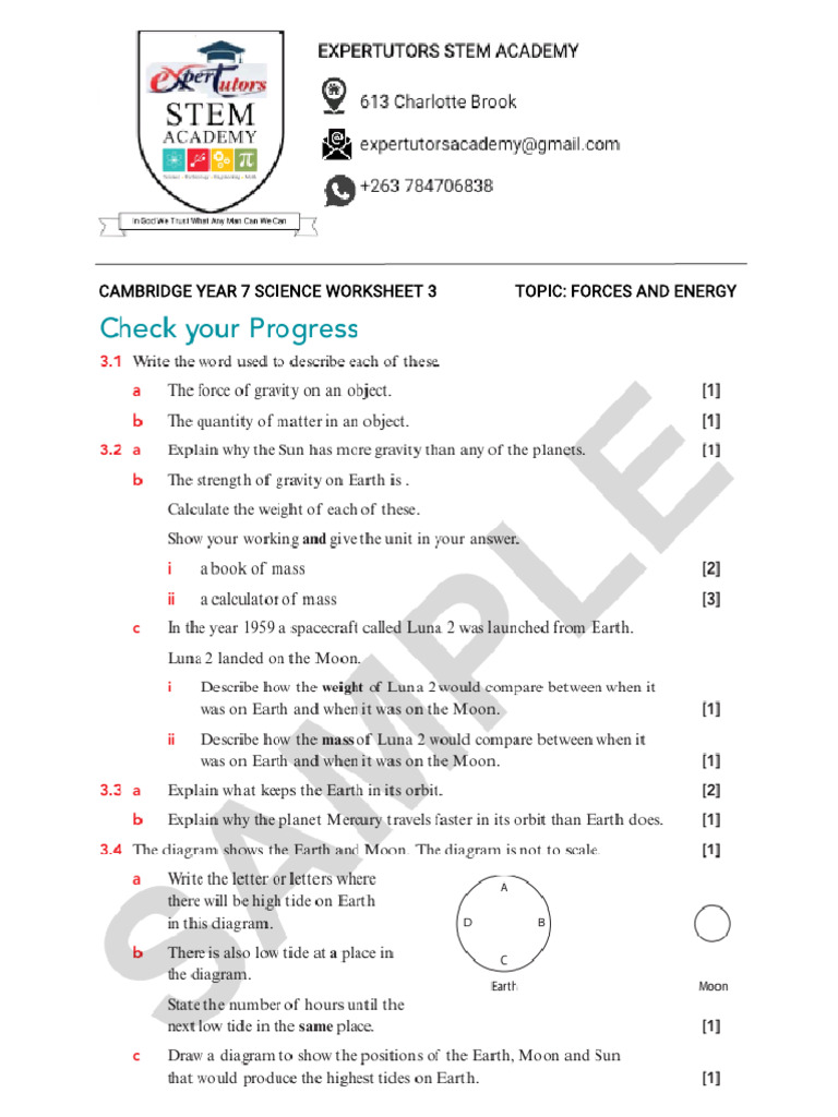 Cambridge Year 7 Science Worksheet 3 | PDF
