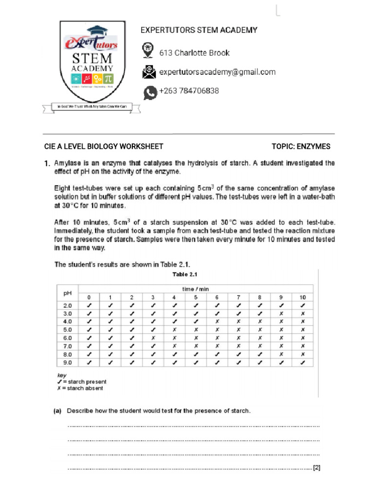 Cie A Level Biology Worksheet Enzymes | PDF