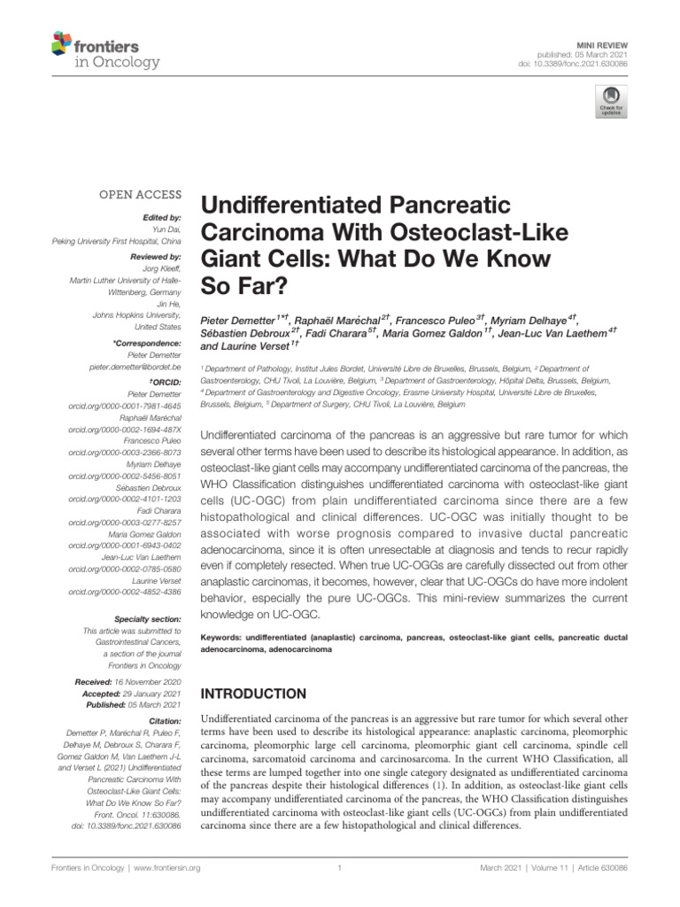 Demetter 2021 Undifferentiated Pancreatic Carcino | PDF | Pancreatic Cancer | Carcinoma