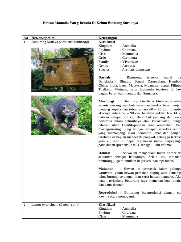 Hewan Mamali Yang Berada Di Kebun Binatang Surabaya Edit | PDF