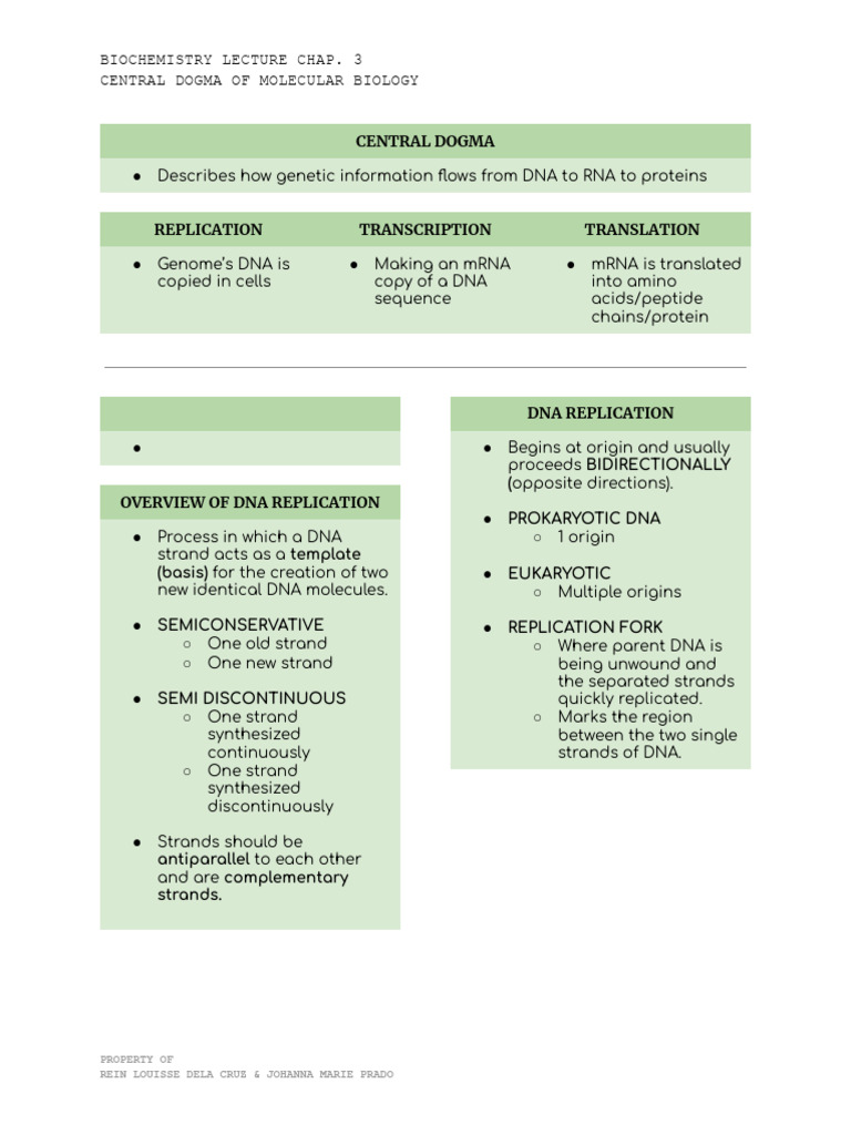 Central Dogma of Molecular Biology | PDF | Dna Replication ...