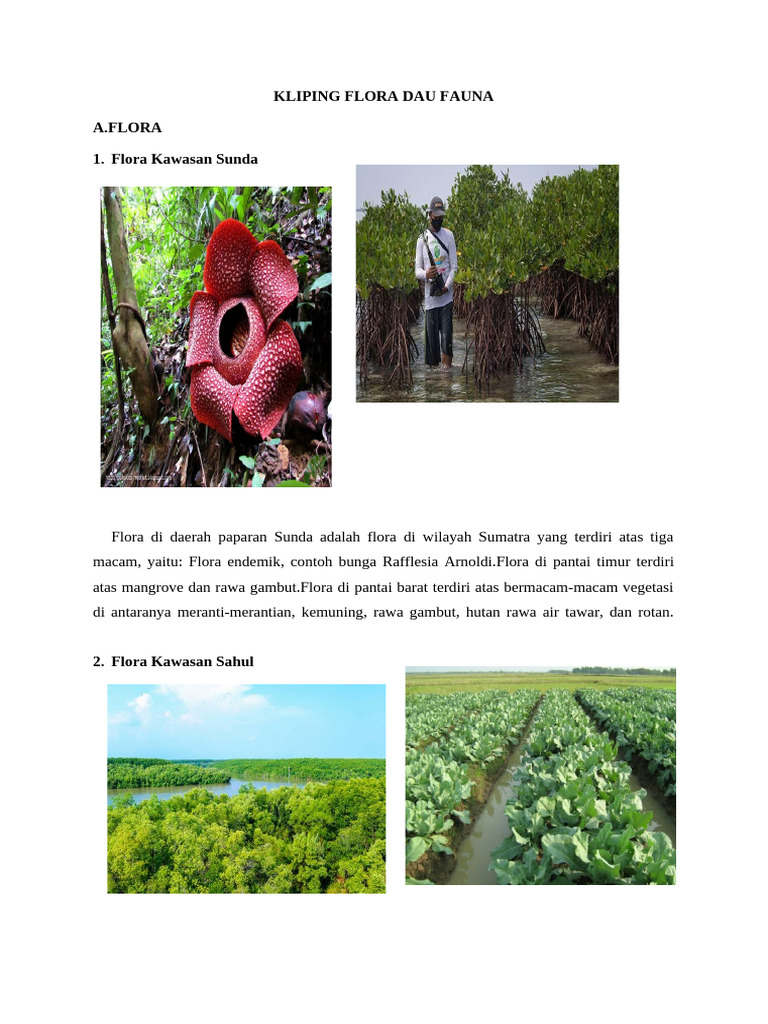 Kliping Flora Dau Fauna | PDF