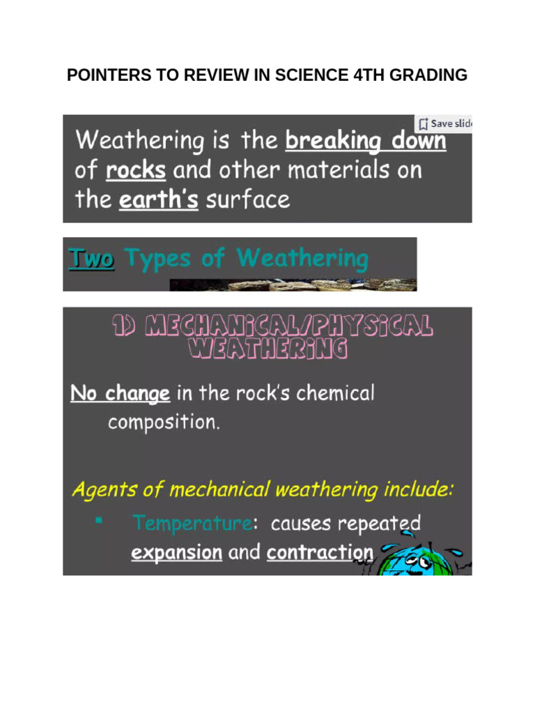 Pointers to Review in Science 4th Grading | PDF