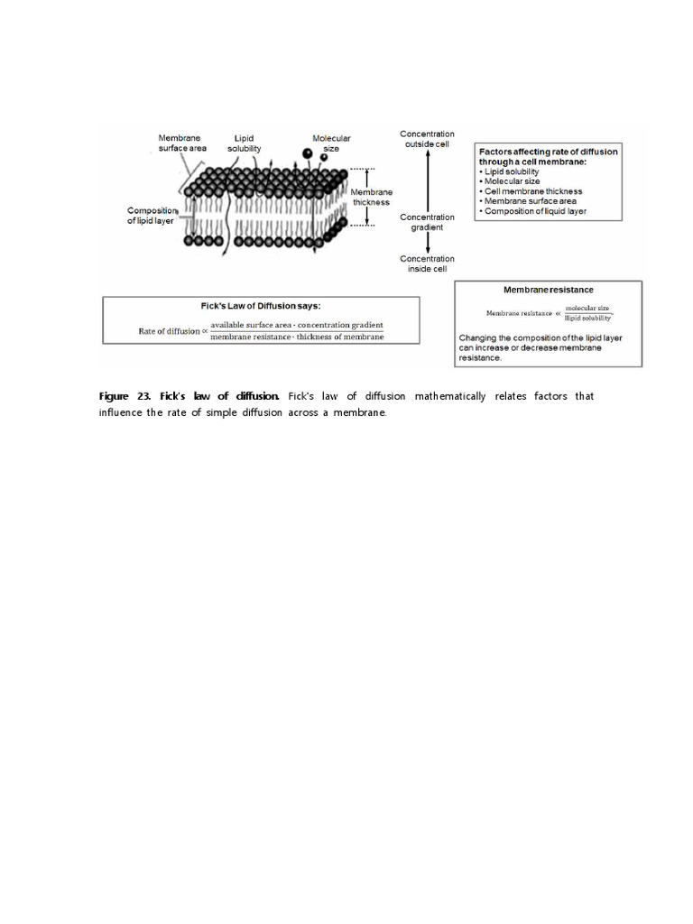 p41 Figure 23 수정 | PDF
