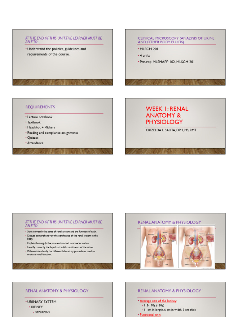Week 1 and 2 - Orientation J Renal Anatomy and Renal Physiology | PDF ...