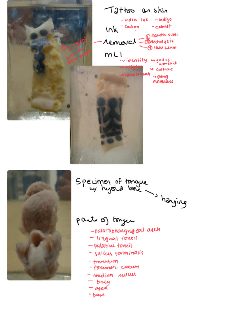 FMT Practical 2 | PDF