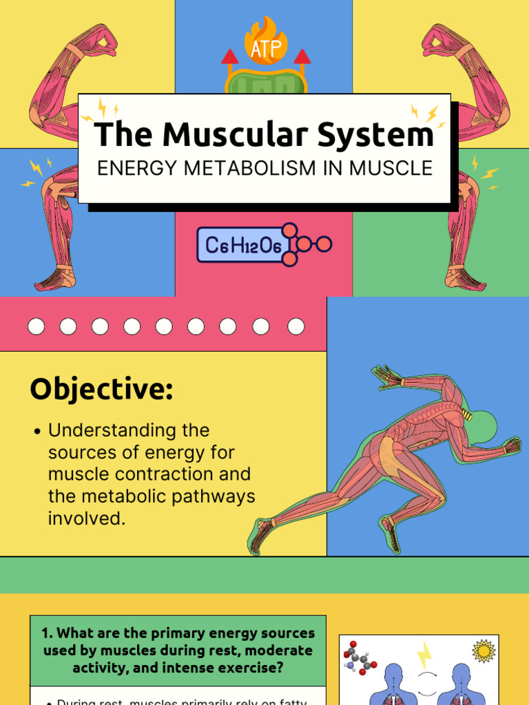 g3 - Energy Metabolism in Muscle PDF | PDF | Cellular Respiration ...