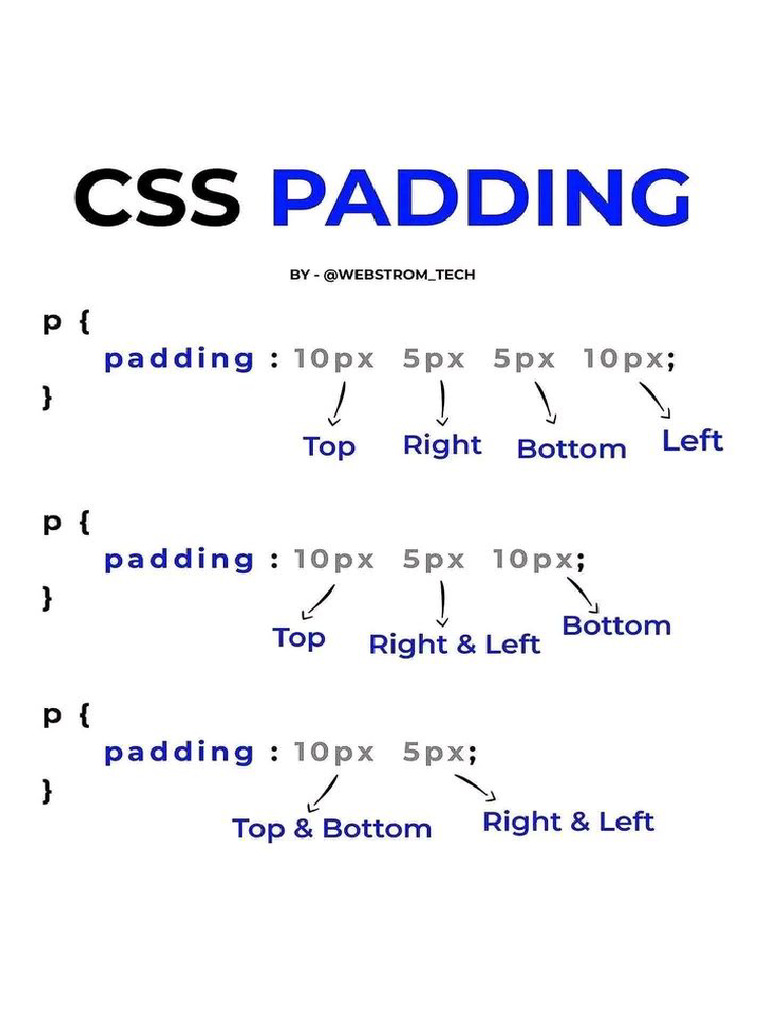 CSS Padding | PDF