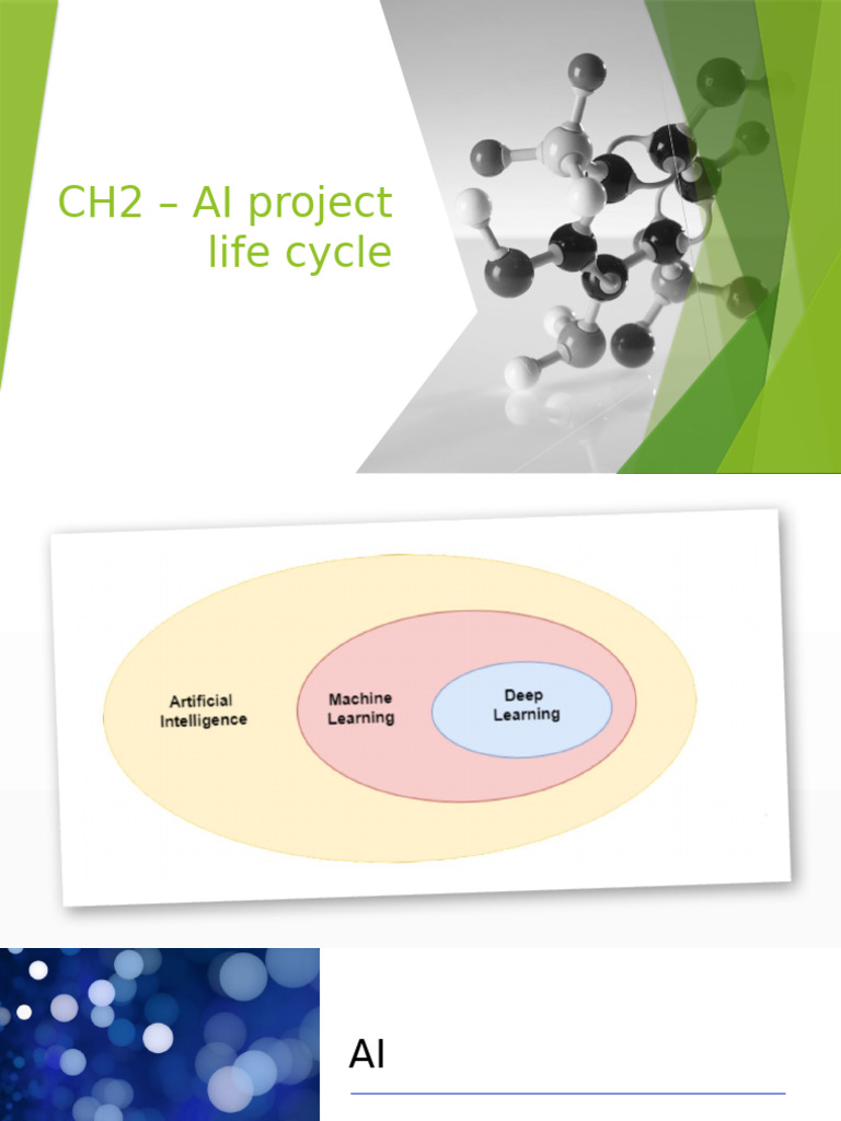 AI Project Lifecycle Overview | PDF