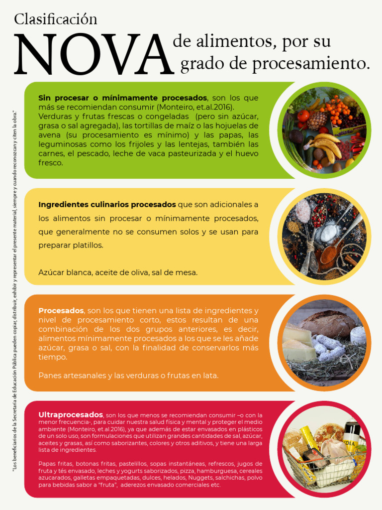 Alimentos Mínimamente Procesados y Clasificación | PDF | Alimentos | sal
