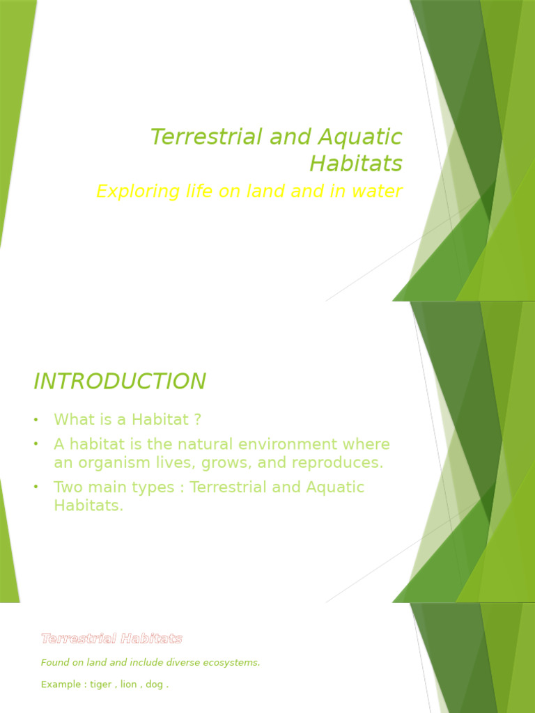 Understanding Terrestrial and Aquatic Habitats | PDF