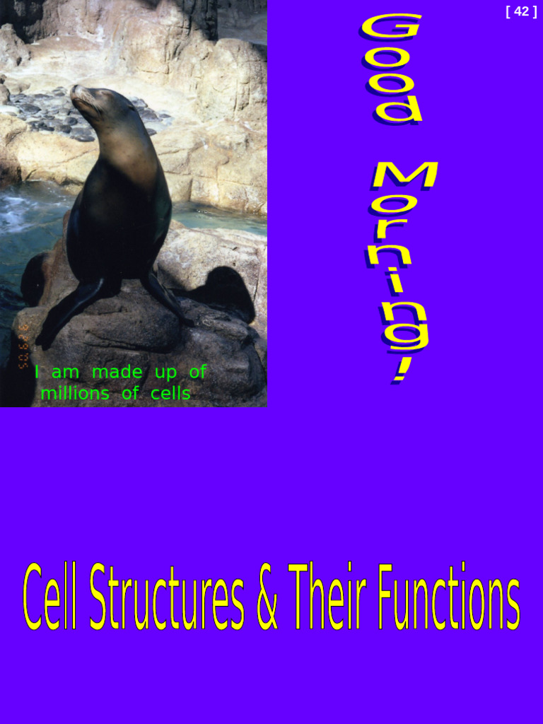 2A-The-Cell-Structure-Function | PDF | Endoplasmic Reticulum | Cell (Biology)