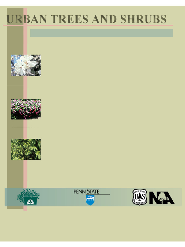 Urban Trees and Shrubs, A guide to the selection of trees and shrubs in ...