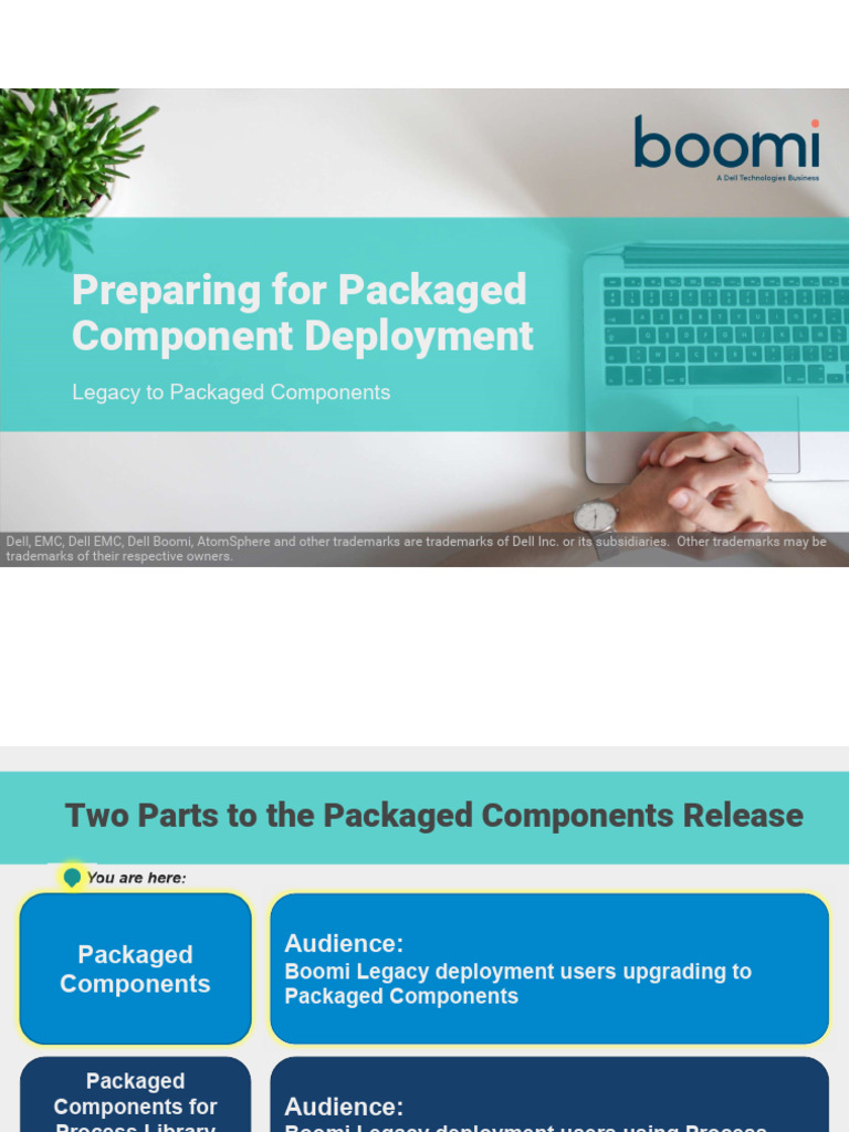 Boomi Packaged Components Guide | PDF | Operating System Families | Information Technology