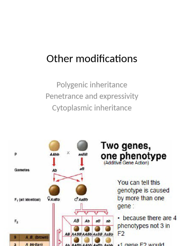 Share 'Penetrance and Expresivity - PPTX' | PDF