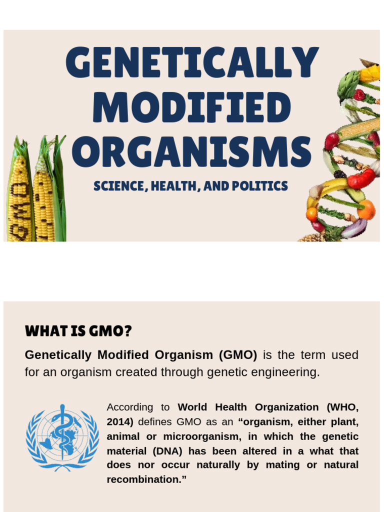 STS - The GMO | PDF | Genetically Modified Organism | Genetic Engineering
