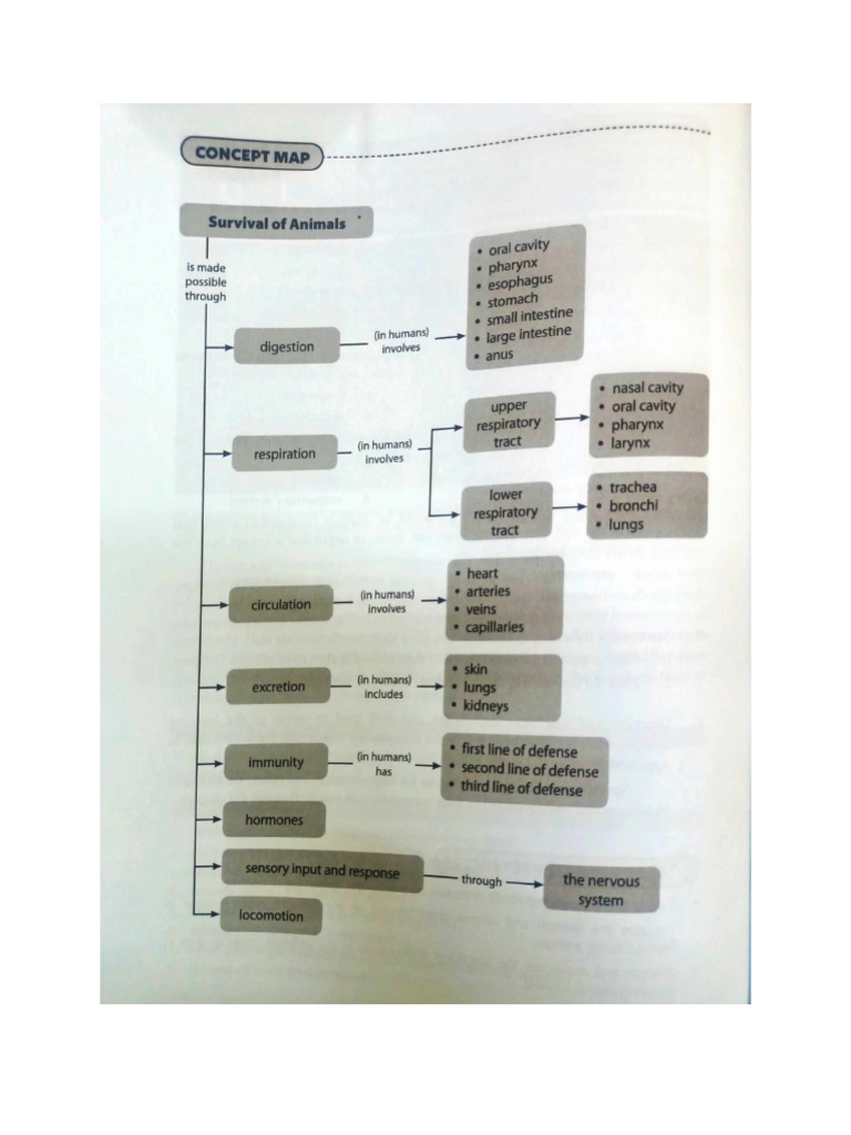 Summary Notes in Organ System | PDF