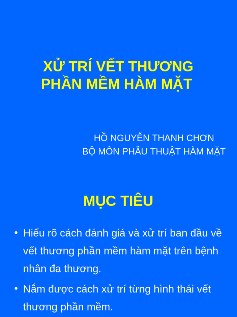 Vet Thuong Phan Mem | PDF