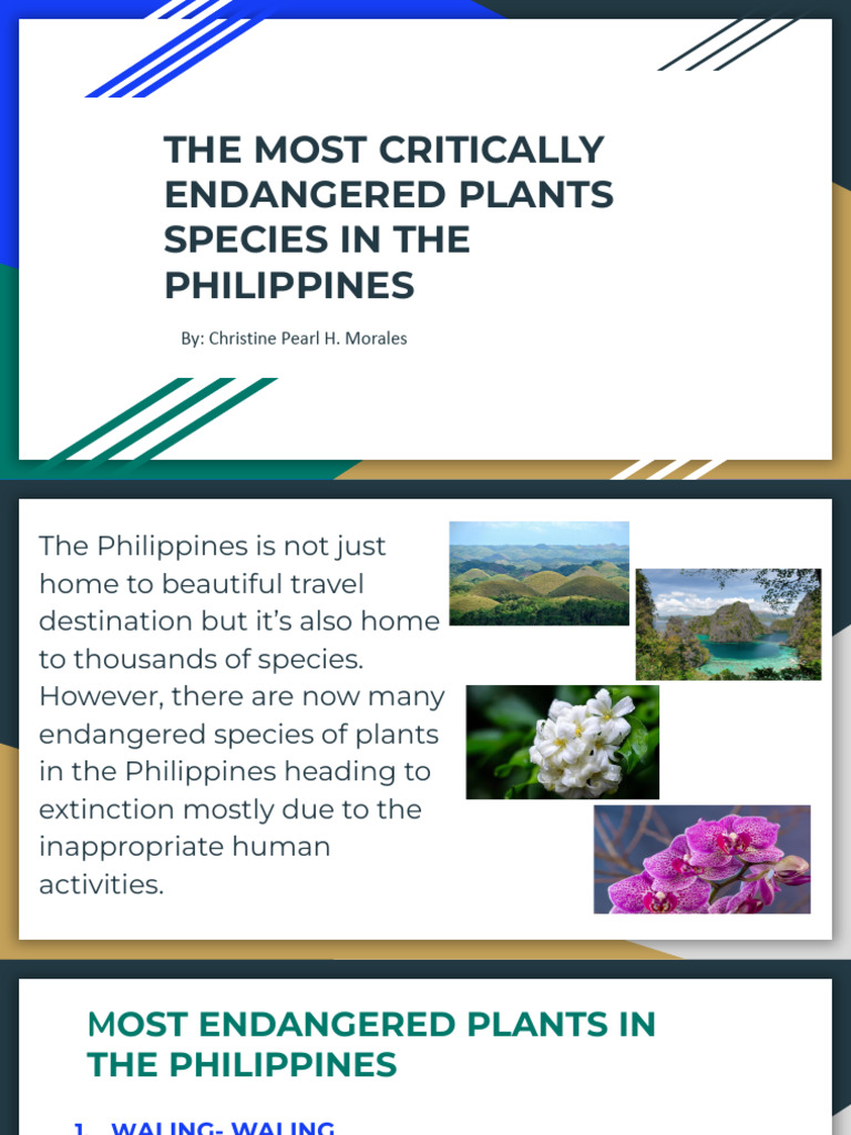 Critically Endangered Plants in the Philippines | PDF