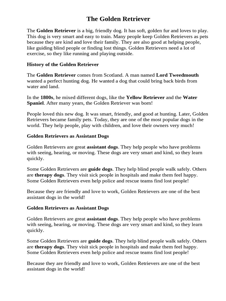 The Golden Retriever | PDF