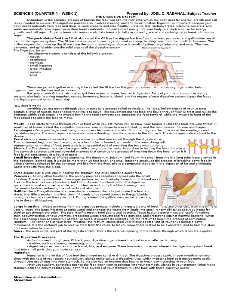 SCIENCE Q4W1 | PDF | Digestion | Gastrointestinal Tract