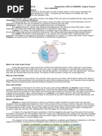 CBSE Class 11 Biology: Cell Cycle | PDF | Meiosis | Mitosis
