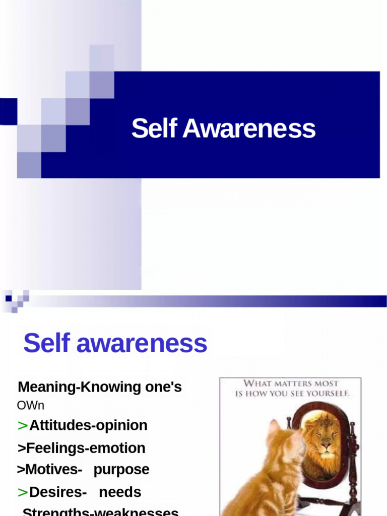 Self Awareness Ppt | PDF | Self Esteem | Behavior Modification