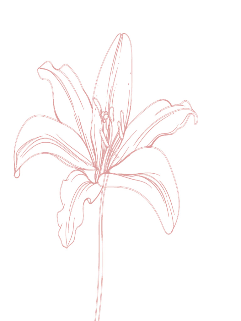 Flower | PDF