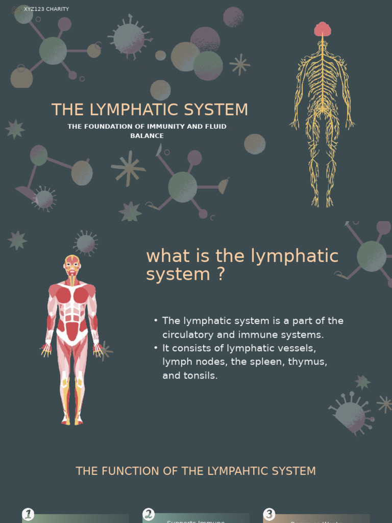 Nervous and Endocrine Systems Presentation in Colorful Illustrative ...