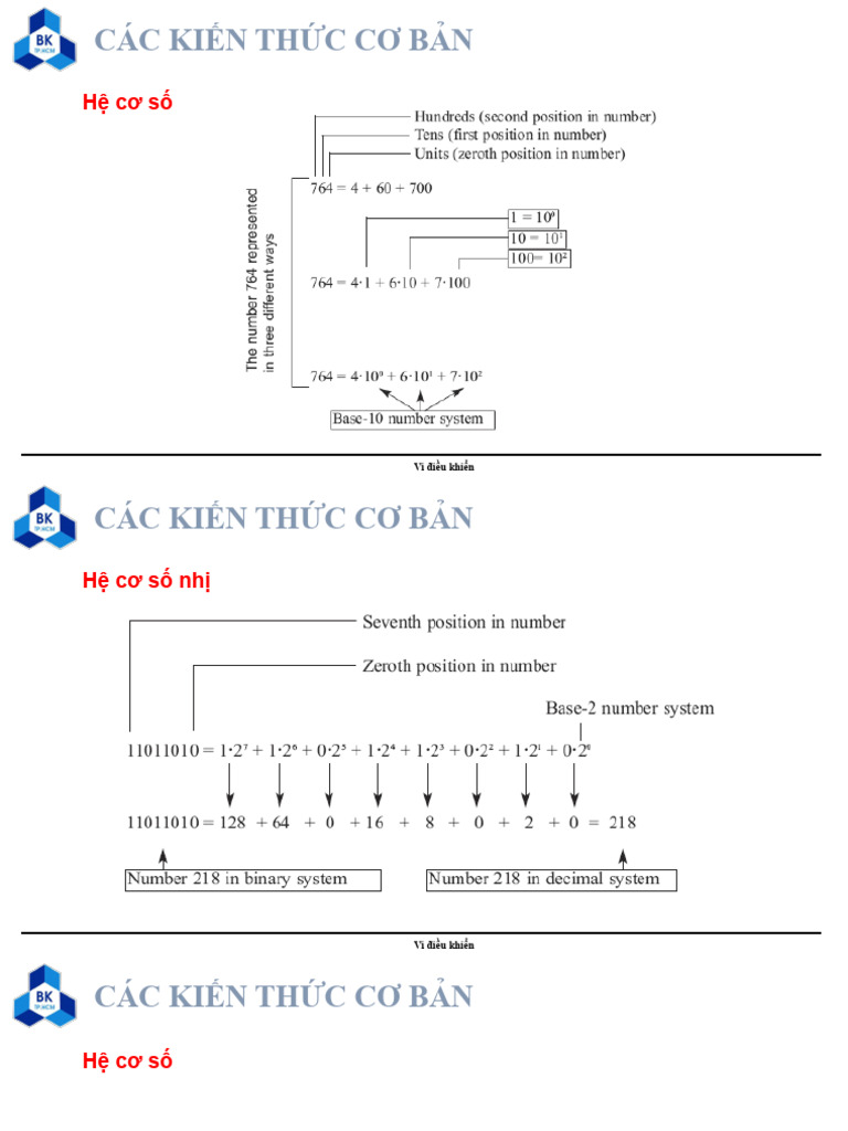 Cac Kien Thuc Co Ban | PDF