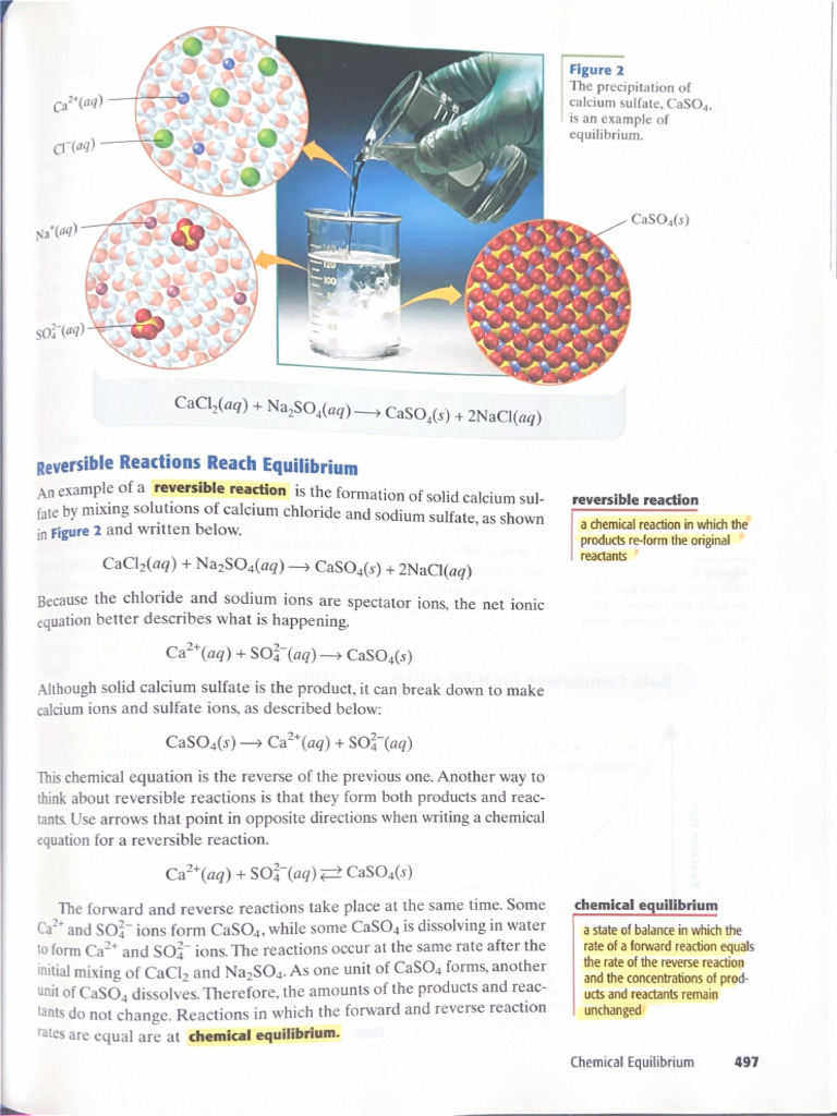 Reversible Reactions Reach Equilibrium | PDF