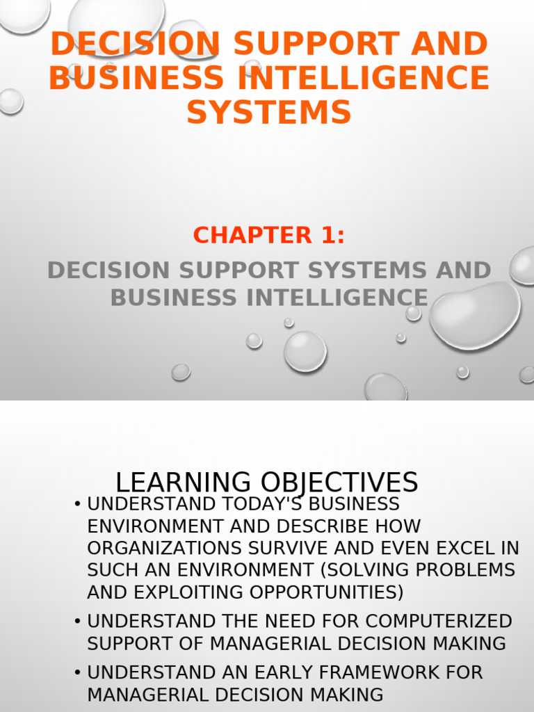 Decision Support System Slides | PDF | Databases | Graphical User Interfaces