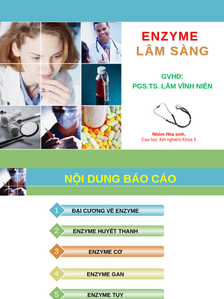 Thinh - Enzyme - Lamsang | PDF